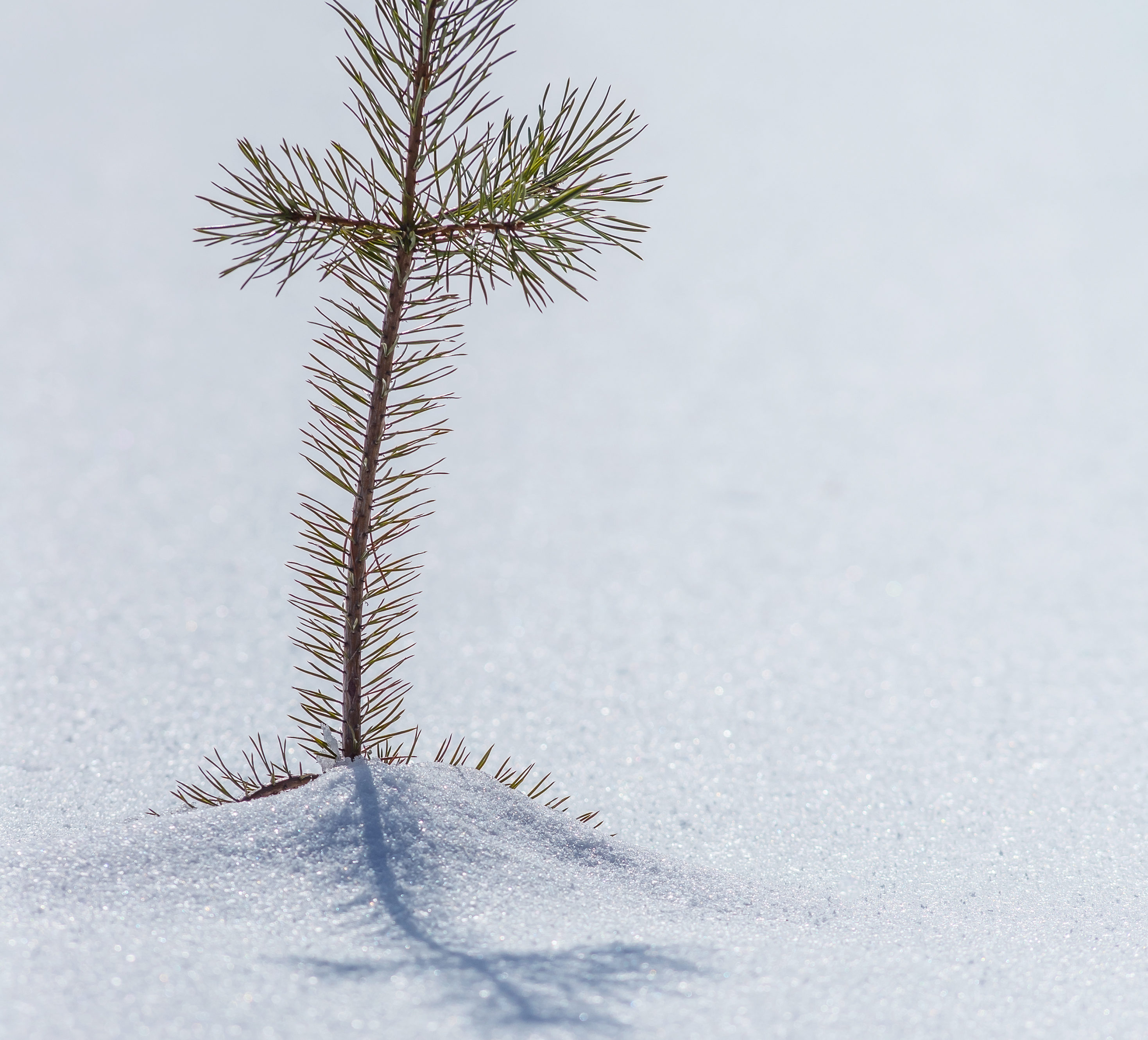 Kristinuskon merkitys Suomen historiassa - Kristinusko toi tullessaan ...