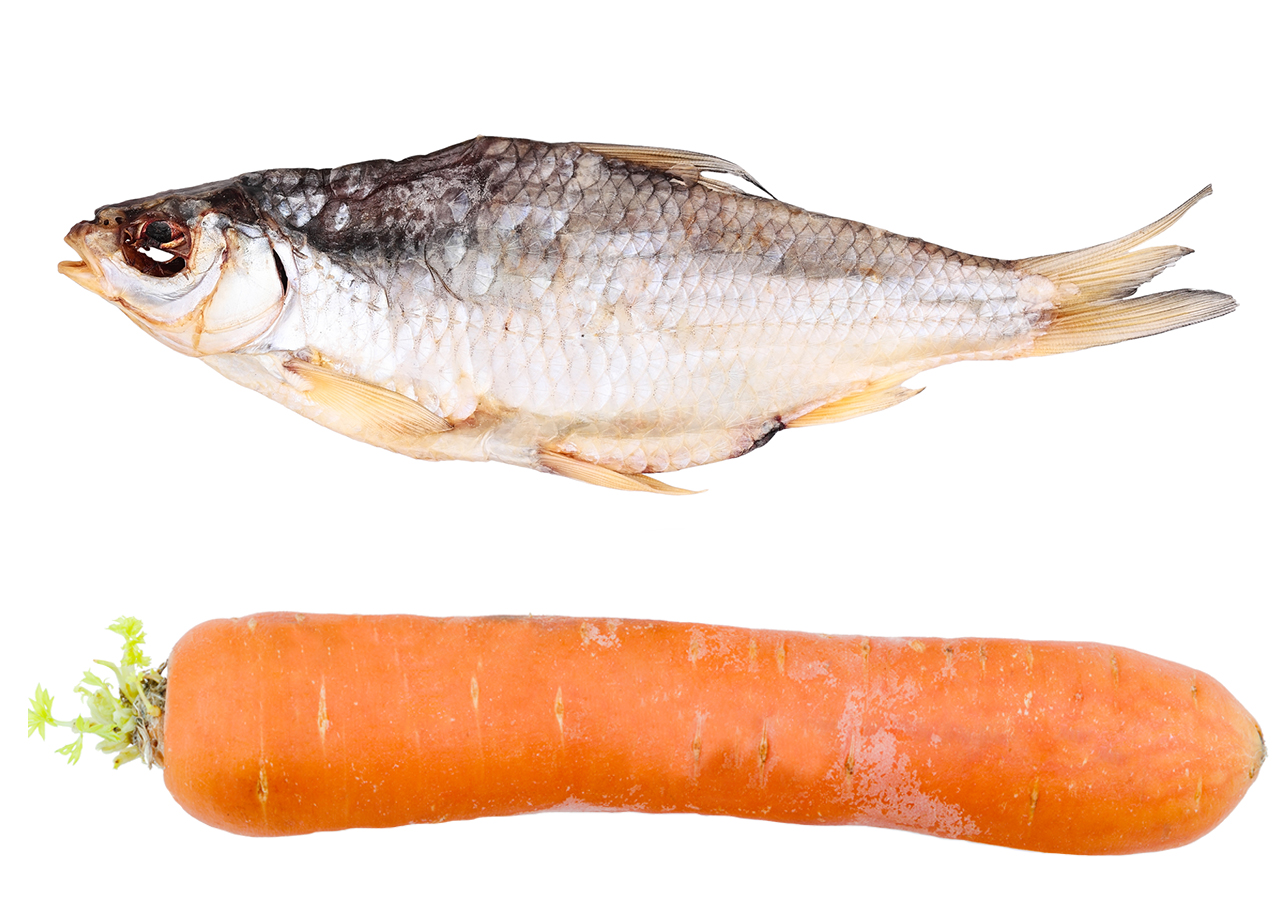 Paasto on paluuta aitoon elämään - ja epäonnistunutkin paasto voi olla ...