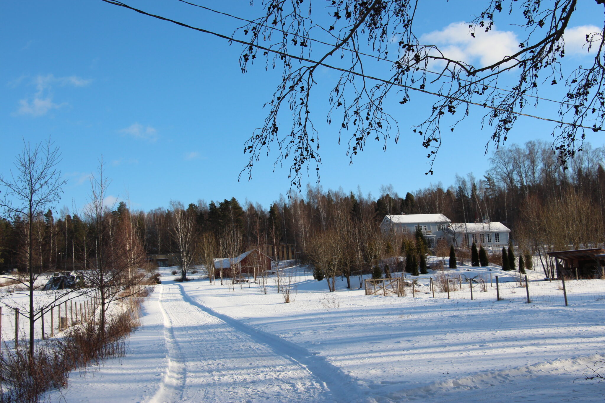 Kansan Raamattuseura juhlistaa helmikuun lopulla Vivamon 70 ...
